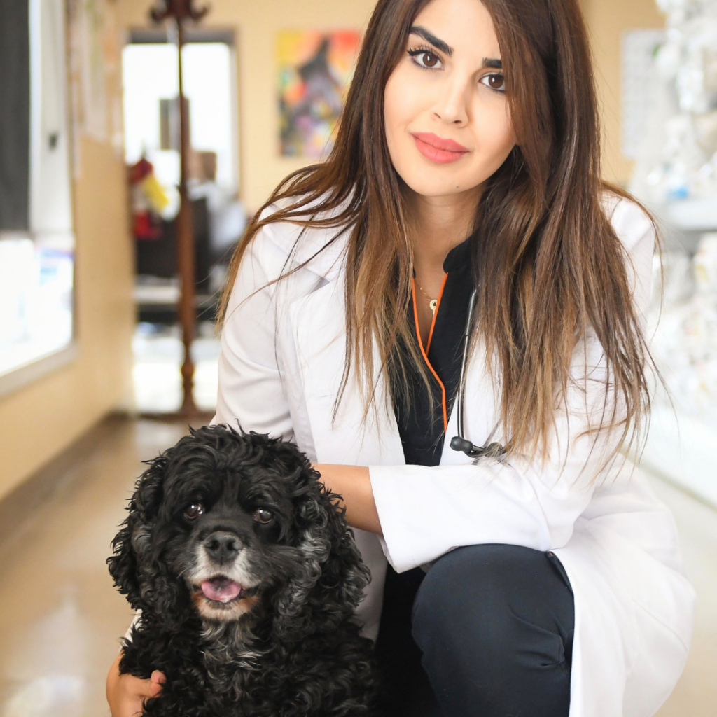 Our Team - Martin Veterinary Hospital